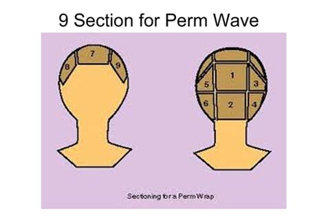 Perm Design Flashcards Quizlet