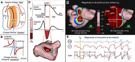 Spatiotemporal Relationships Among Charge Density Voltage And Action Download Scientific