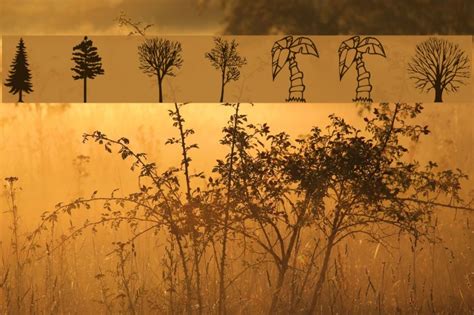 Wmtrees1 Font FFonts Net