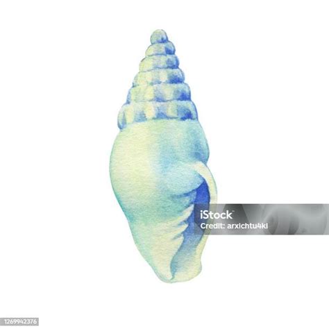 푸른 바다 껍질 해양 디자인 수중 생명 물체의 그림 흰색 배경에 격리 된 수채화 손 그린 그림 그림 그림 고풍스런에 대한 스톡