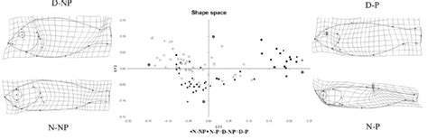 The Output Of The Two Block Partial Least Squares Analysis Of Download Scientific Diagram