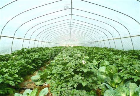 塑料大棚 成都车棚膜结构 看台膜结构 屋顶膜结构 温室大棚 塑料大棚 四川喜蜘蛛膜结构安装工程有限公司