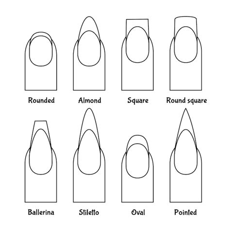 Premium Vector Line Illustration Of Manicured Nails With Different