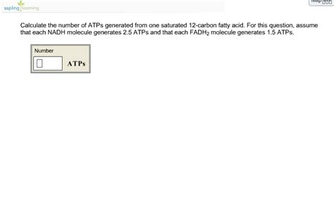 Solved Calculate The Number Of ATPs Generated From One Chegg Com
