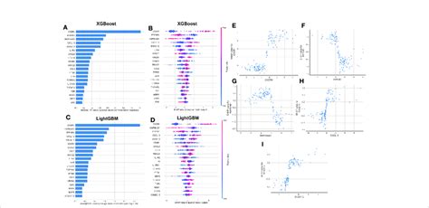 Explanation Of Machine Learning Models Using SHAP Summary And