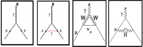 The Sm Correction In A µ From Qed Electroweak Loops Hvp Download