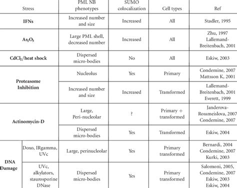 Pml Nbs Are Sensitive To Cellular Stress Download Table