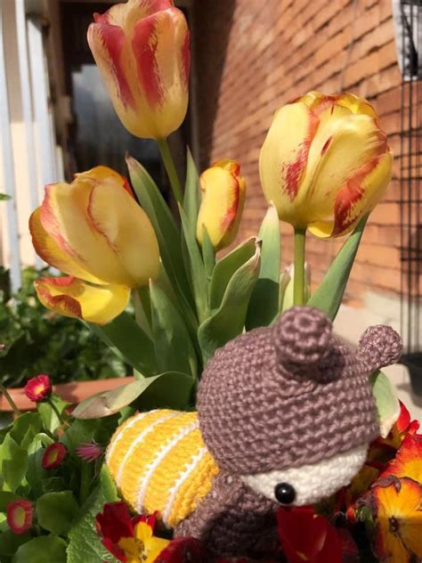 ყაისნაღით ქსოვა შერეული ძაფები წონით ერთი კილოს ფასი 20 ლარი გაგზავნა შეს