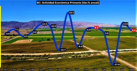 Monitor Económico Agricultura De Baja California Con Menor Dinamismo