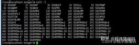 Linux kill命令原理及C C 源码实现 知乎 Linux kill命令原理及C C 源码实现 知乎