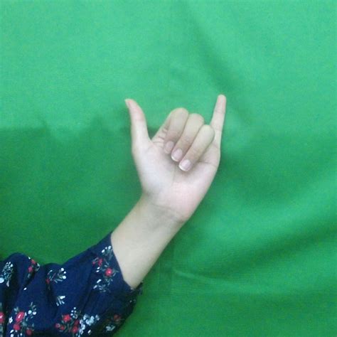 Sibi Image Classification Dataset And Pre Trained Model By Desisibi