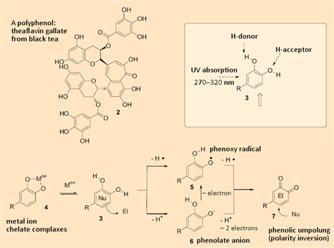 Polyphenols Contributors To Good Health Part 1 Chemistryviews