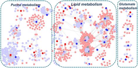 Metabolic Correlation Networks Of The Metabolites Regulated In Bufei