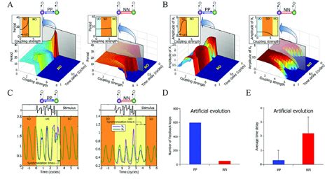 Synchronization Properties Of Coupled Oscillators With Various Coupling Download Scientific