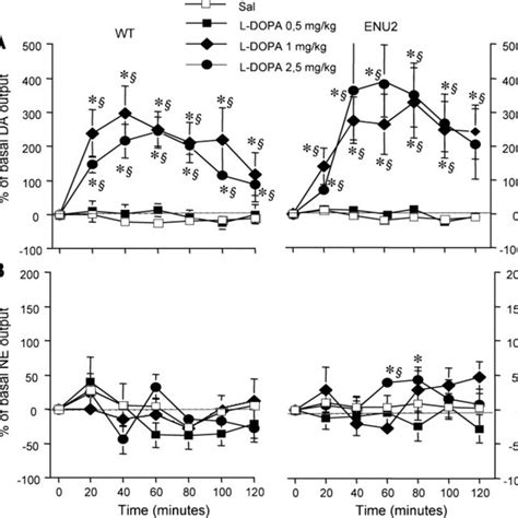 Dose Dependent Effect Of L Dopa On Frontal Cortical Catecholamine