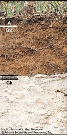 SLP 2 Soil Profiles Description Classification Flashcards Quizlet