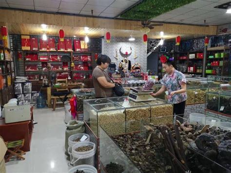 浙江磐安舉辦第十三屆中藥材博覽會 每日頭條
