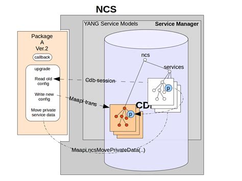 Using Cdb Network Services Orchestrator Nso V6 3 Cisco Devnet
