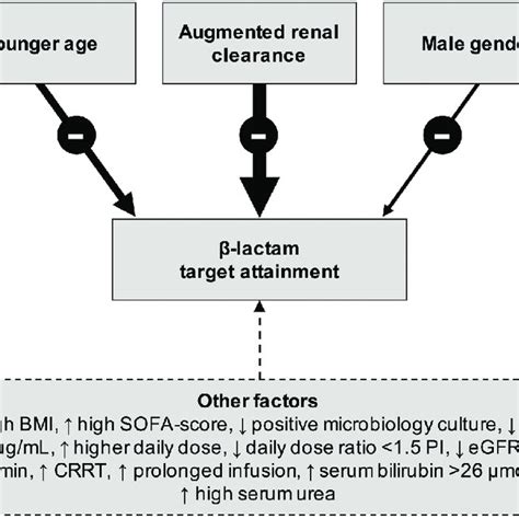 Demographic And Clinical Factors Associated With β Lactam Target Download Scientific Diagram
