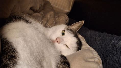 기훈 고민 상담이 필요해요 어떻게 하면 사회적협동조합이 지역사회에서 공적 조직이 될 수 있을까요 청년희망팩토리 는 조합원 후원자 자원봉사자로 구성된 행안부