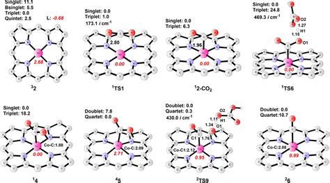 Optimized Structures Of Important Intermediates And Transition States