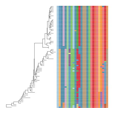Visualizing And Annotating Phylogenetic Trees With Rggtree