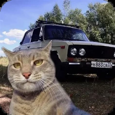 Pixie Pixie And Brutus Telegram Stickers