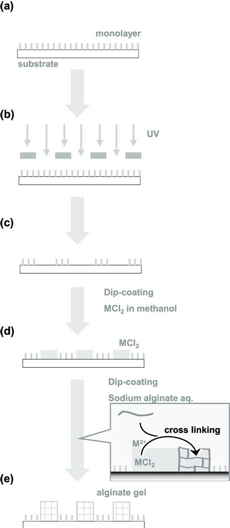 Fabrication Scheme A Formation Of Selfassembled Monolayers B Exposure Download Scientific
