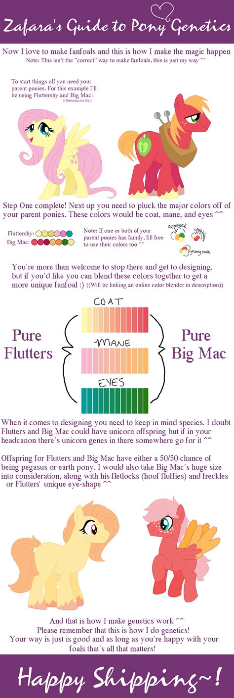 A Zafaras Guide To Pony Genetics By Zafara1222 On Deviantart