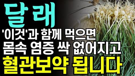 달래이렇게먹어야 보약됩니다 달래와 함께 먹으면 보약되는 음식4가지와 혈관 보약 달래장 레시피 몸속 염증 싹 없애는 방법 치매 음식보양 음식 Youtube
