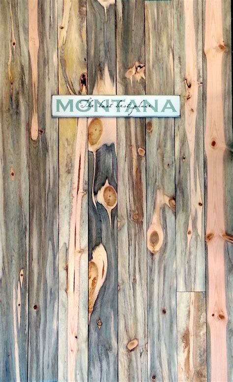 Blue Pine Beetle Kill Lumber For Sale Wood Wall And Flooring Planks