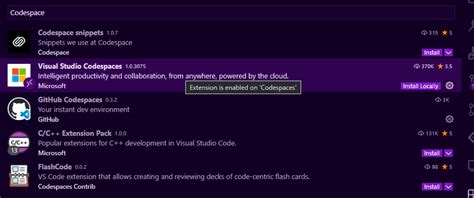 Visual Studio Codespaces Extensions Is Installed But Doesn T Show Up In Extension View Issue