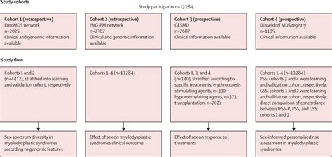 A Sex Informed Approach To Improve The Personalised Decision Making Process In Myelodysplastic