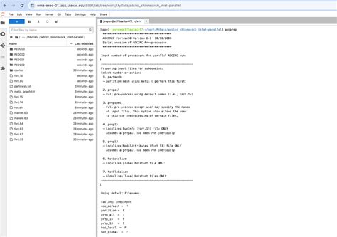 ADCIRC DesignSafe User Guide