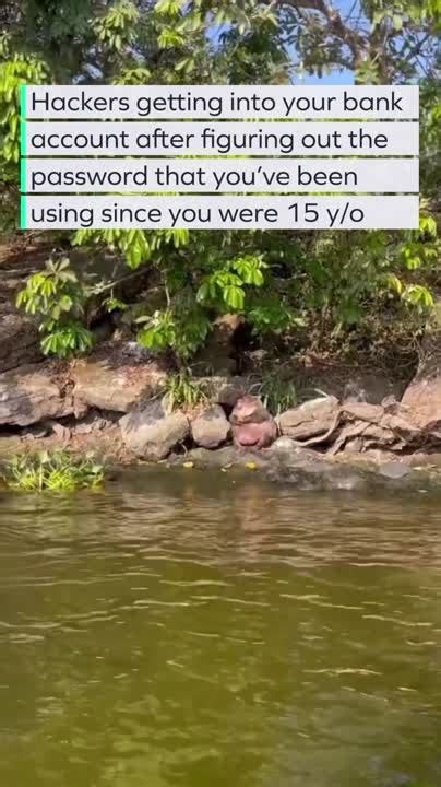 Dot Security On Linkedin Dotsecurity Password Cybersecurity