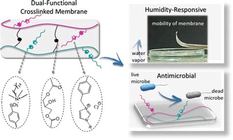 Humidity Responsive Antimicrobial Membranes Based On Cross Linked Copolymers Functionalized With