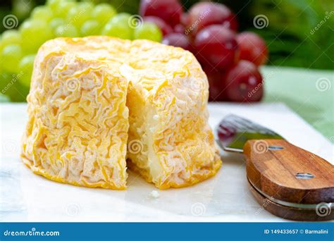 Langres Den Franska Kon Mj Lkar Mjuk Ost Kr Migt Och Smuligt Med Det Vita Skalet Fotografering