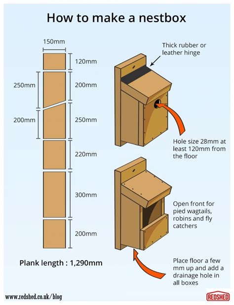 Where To Position A Nesting Box