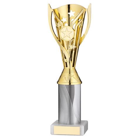 Gold Star Cup On Pewter Riser 4 Sizes Under £10 Add Your Logo