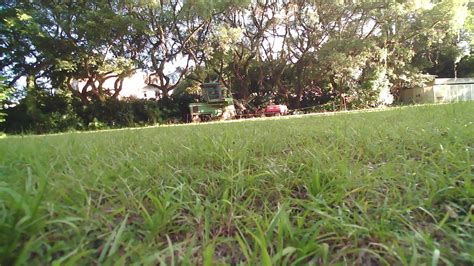 fruit detect model 1 0 object detection dataset and pre trained model by fruit detection