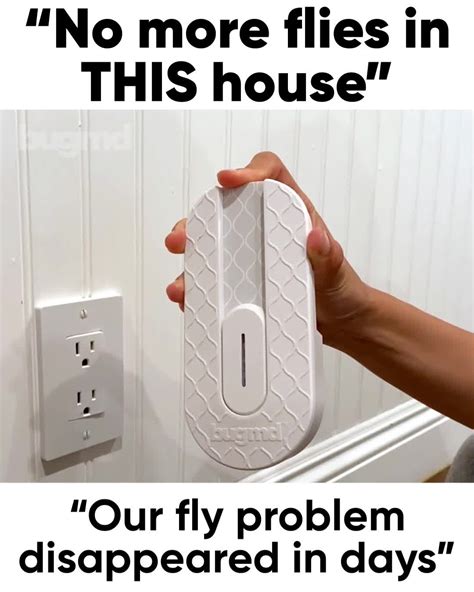 Bug Md Summer Is Here And That Means Bug Season But