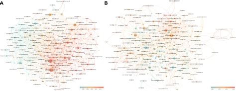 Overlay Visualization Of A Citation And B Co Authorship Analysis