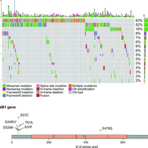Genomic Alterations Of Wntβ Catenin Pathway Genes Identified Among The