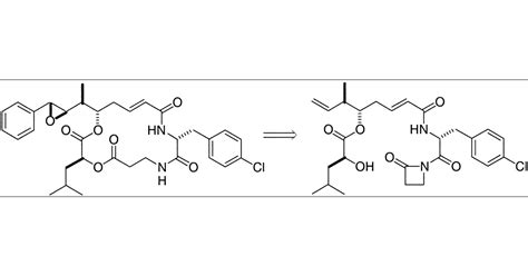 Rapid Entry Into The Cryptophycin Core Via An Acyl β Lactam