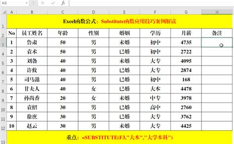 substitute函数的5个经典应用技巧，案例解读，收藏备用！