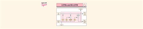 Lstms And Bi Lstm In Pytorch Scaler Topics
