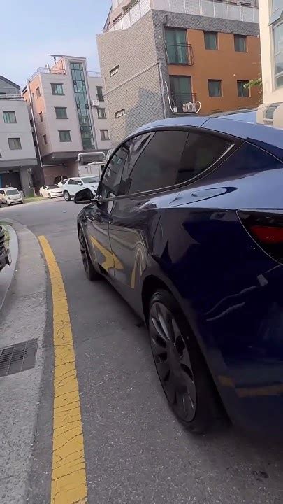 2024 테슬라 모델y 퍼포먼스 딥블루메탈릭 솔라가드 리얼블랙 볼텍스ir Youtube