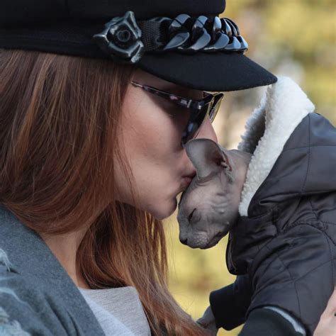 Еva - Одежда для Кошек и Собак | Moscow