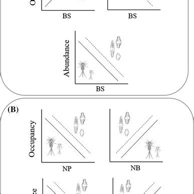 Expected Relationships Between Niche Position NP Niche Breadth NB Download Scientific