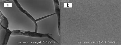 Sem Image Of γ Alumina Membrane Surface A Without Pva B With Pva Download Scientific Diagram